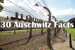 30 Shocking Auschwitz Facts That YOU Should Know! | DiscoverCracow.com